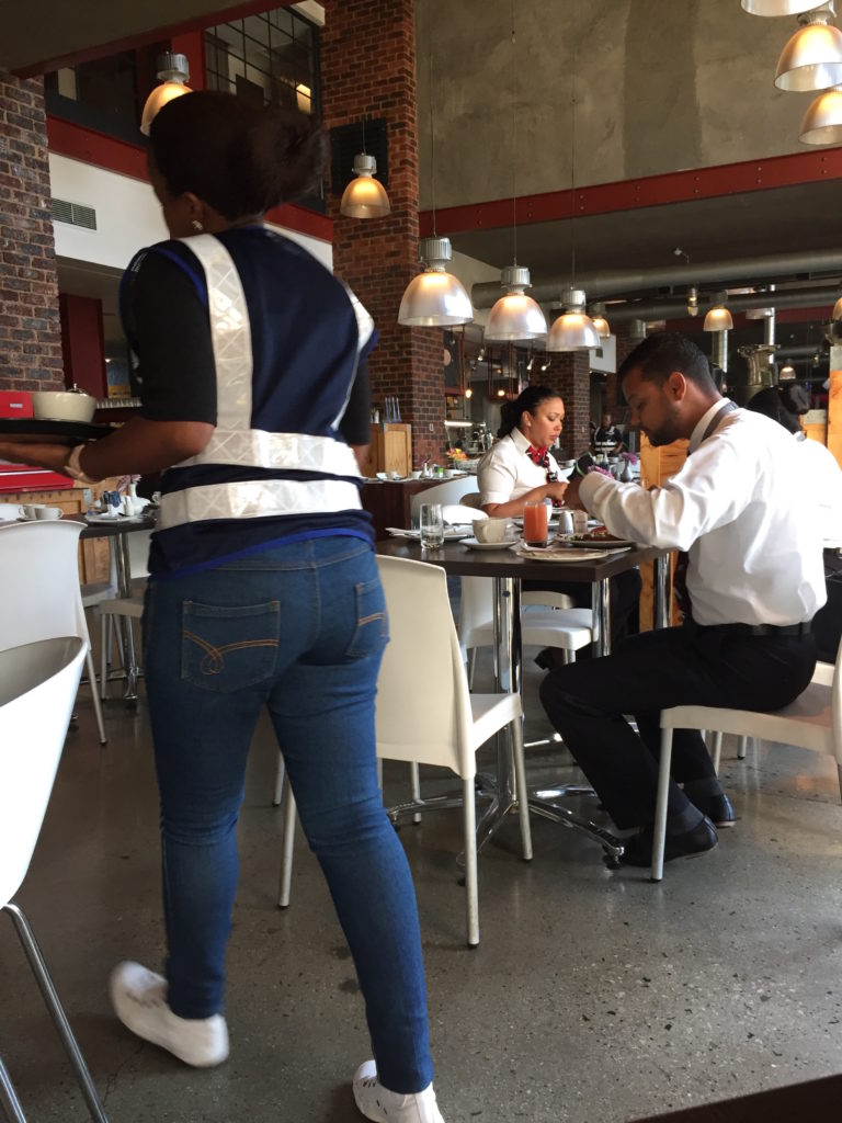 Tambo Protea Uniforms | No Mas Coach!